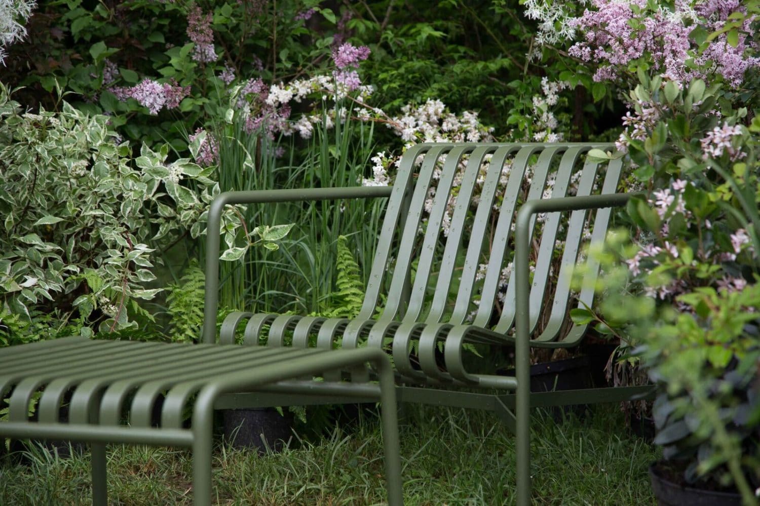 projet-maïdo-mint-gardens-amenagement-jardin - Mint Gardens ...