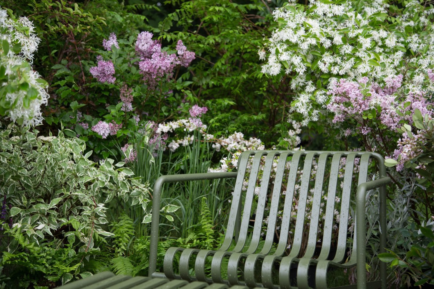 MAIDO - Mint Gardens | Architecte paysagiste à Genève - Jardins et ...